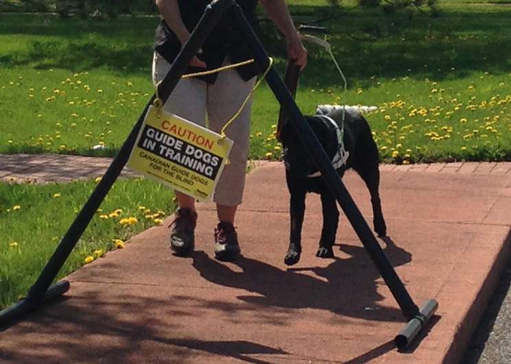Apprenticeships – Canadian Guide Dogs for the Blind
